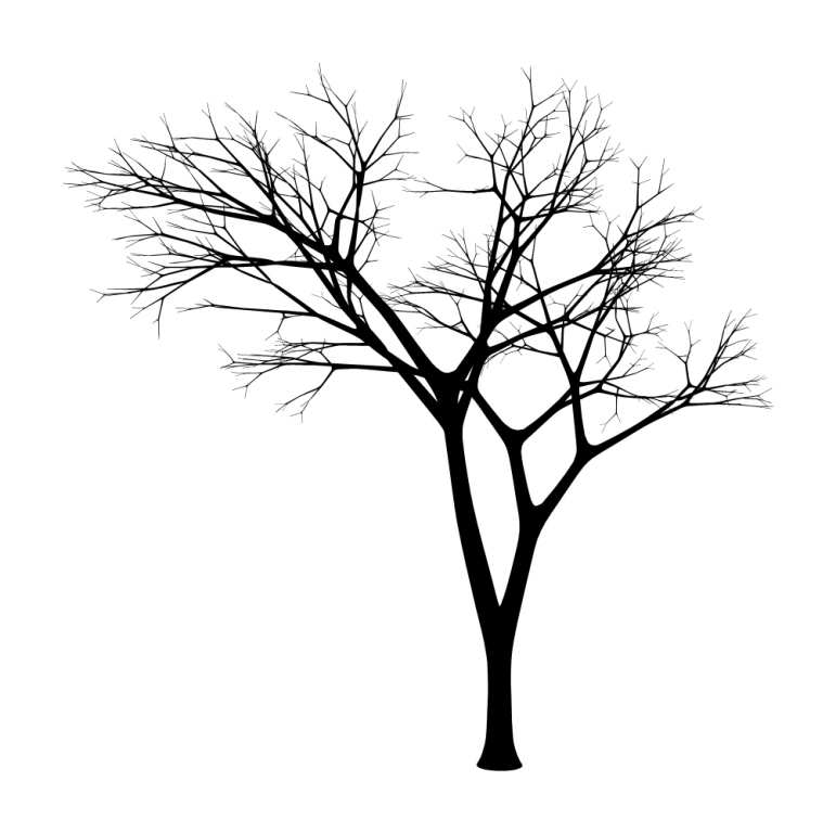 Wall Decal Bare Tree Style 3 22225 on Luulla